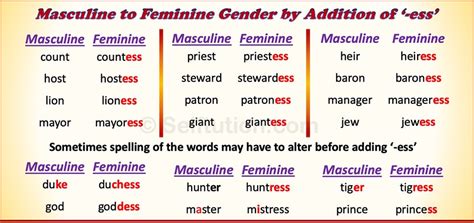Gender In English Masculine Feminine Common And Neuter Selftution