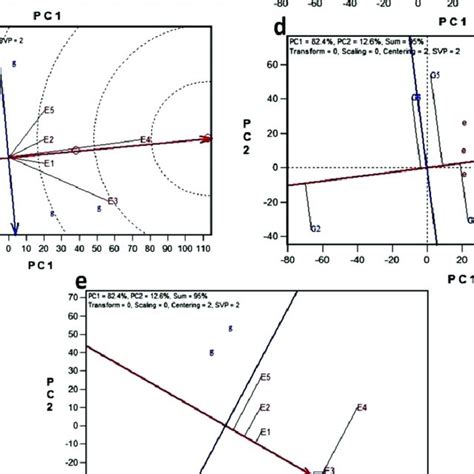 Environment View Of Gge Biplot Analysis A Relationship Among The Test Download Scientific