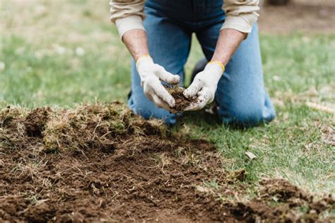 Building A Climate Resilient Garden Wellbeing Magazine