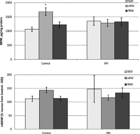 Hippocampal Brain Derived Neurotrophic Factor Bdnf Levels In Control