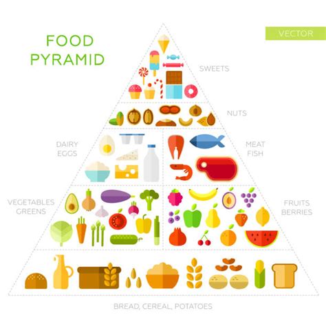 1800 Piramide Alimenticia Fotografías De Stock Fotos E Imágenes