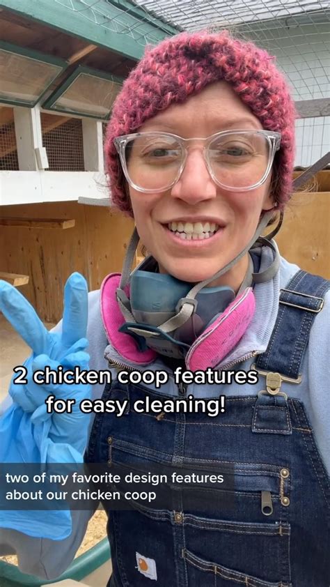 How To Switch Chicken Feed For The Homestead Flock Artofit