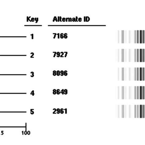 Genetic Typing With Repetitive Sequence Based Pcr Rep Pcr Dendrogram