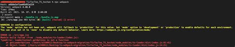 Typescript TypeError LoaderContext GetOptions Is Not A Function