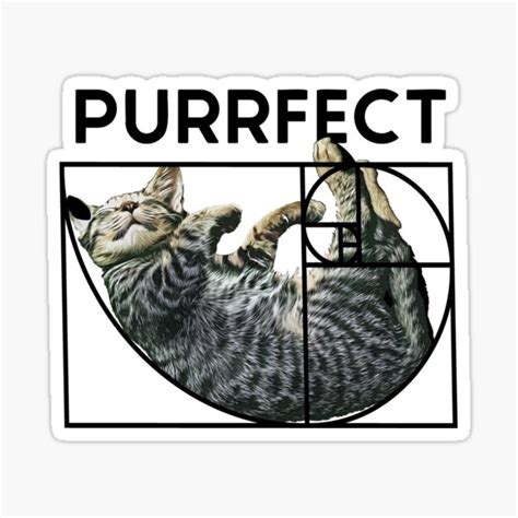 Golden Ratio Cat Fibonacci Spiral Funny Math Kitty Sticker For Sale
