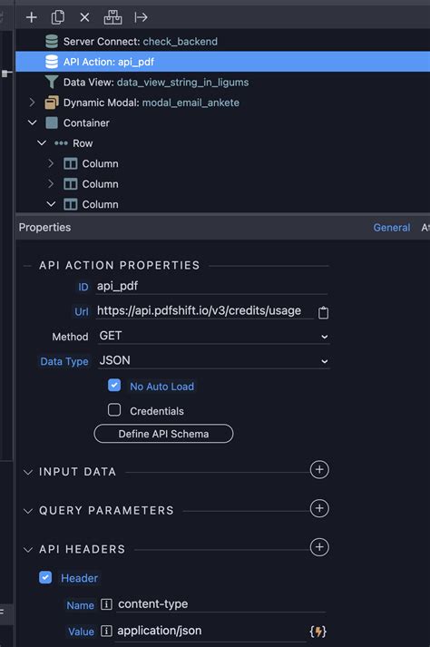 how use basic authorization in api action on frontend need help