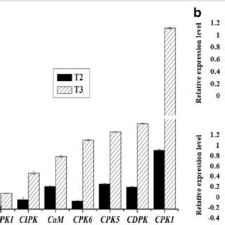 The Differential Expression Unigenes Statistical Analysis Of Different