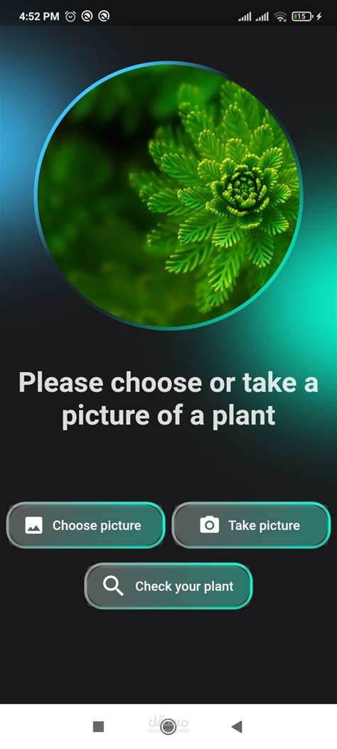 Plant Disease Detection