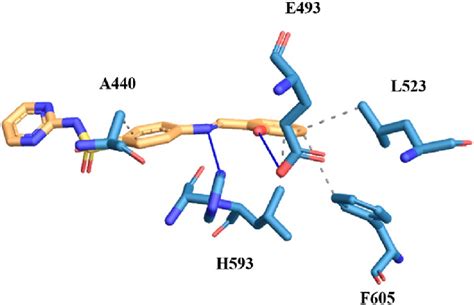 The Simulated Binding Mode Of Compound 3b In The Binding Pocket Of Jack