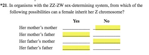 Genetics Ch 4 Flashcards Quizlet