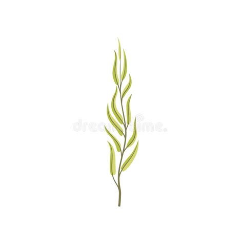 Tree Branch On White Background Greenery Leaves Stock Vector Illustration Of Beautiful