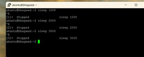 Using Bash Job Controls To Manage Multiple Processes