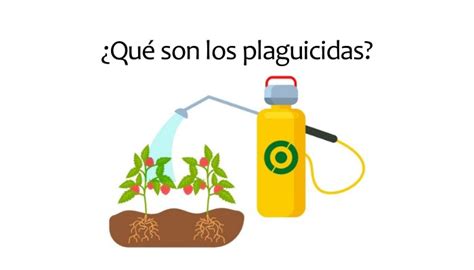 Qué Son Los Plaguicidas Y Cómo Se Clasifican Infoagronomia Hot Sex