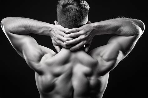 Structured Shoulders Images Free Download On Freepik