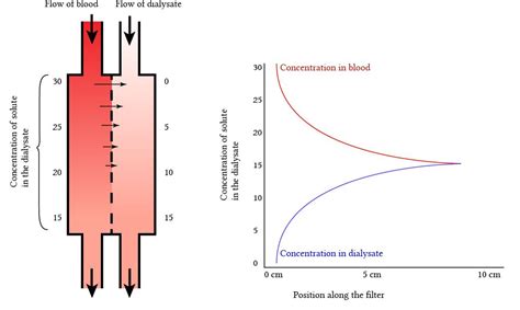 Diffusion In The Counter Current Dialysis Circuit Deranged Physiology