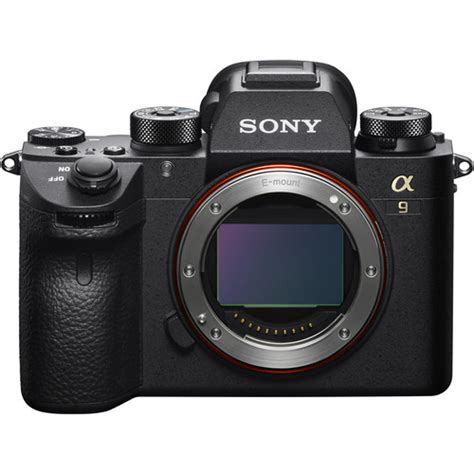 Best Mirrorless Cameras 2019 Camera Times