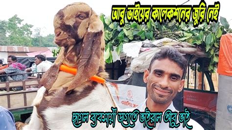 ছাগল কালেকশনে জুড়ি নেই ছাগল ব্যবসায়ী ভাইরাল আবু ভাইয়েরnatore