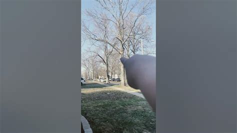 Tree Part 2 Youtube