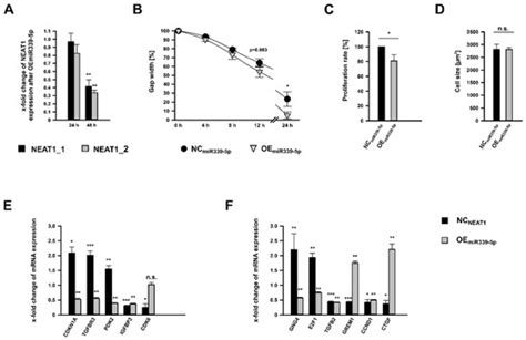 Non Coding Rna An Open Access Journal From Mdpi