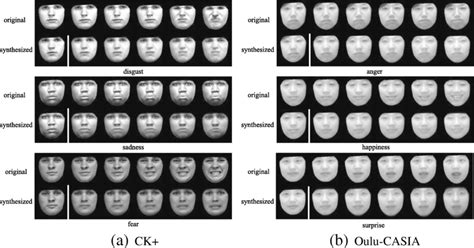 Image Quality Of Synthesized Facial Expression Sequences And Ground