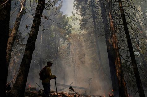 ‘california Is Meant To Burn Experts Teach Landowners Art Of