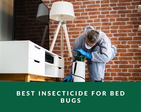 Insecticide For Bed Bugs In Nigeria At Kevin Turner Blog