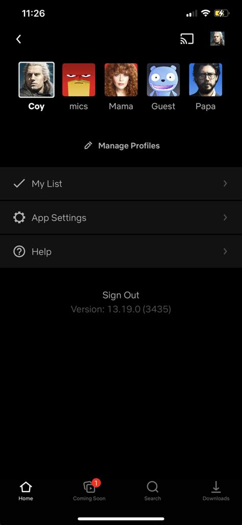 Ways To Fix Netflix Freezing On Your Device Saint
