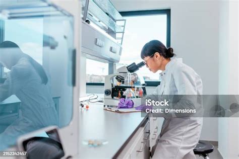 현미경을 들여다보며 발견한 것을 기록하고 있는 여성 과학자 실험실에 대한 스톡 사진 및 기타 이미지 실험실 과학자 의료