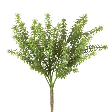 Cream Budding Greenery Bush Greenery Market