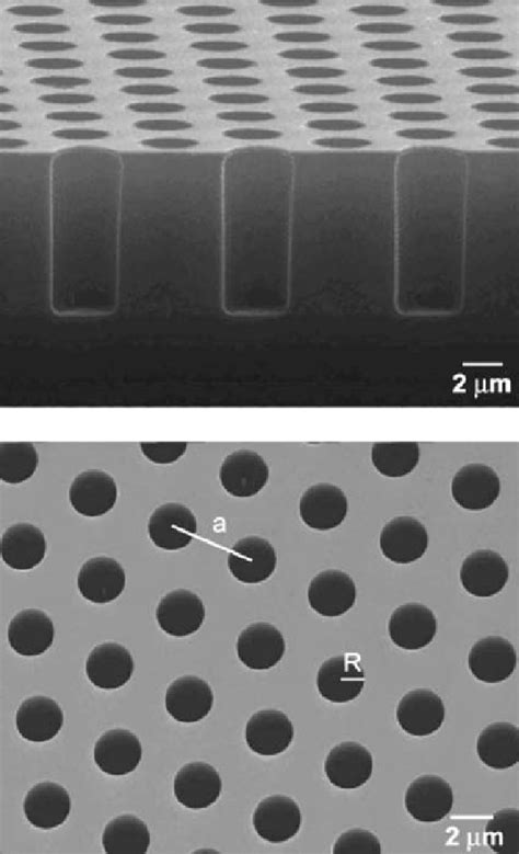 Two Dimensional Metallo Dielectric Photonic Crystal Formed By A