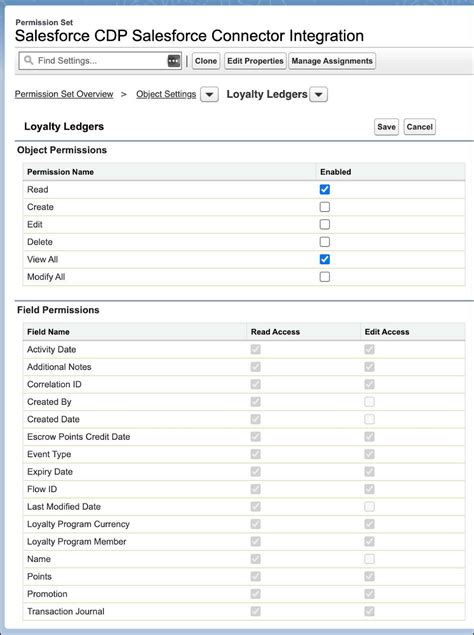 Optimize Data Cloud And Loyalty Management Setup Salesforce