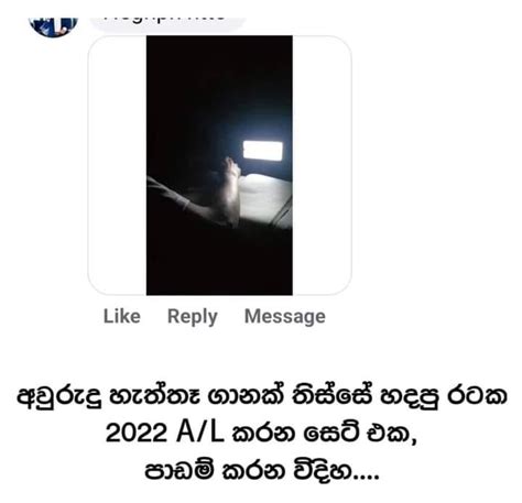 එහෙනම් එලකිරියම මෙවර මාලිමාවට නේද Page 2 Elakiri