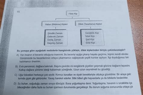 15 Haber Bildirme Kipleri Şimdiki Zaman Gelecek Zaman Geniş Zaman
