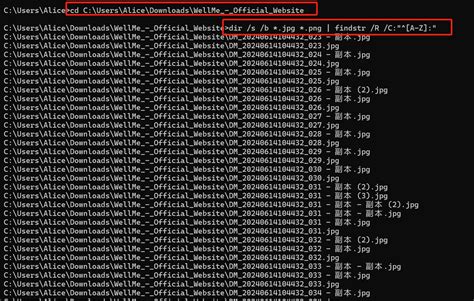 快速列举出windows下文件夹内的所有图片的绝对路径 哔哩哔哩