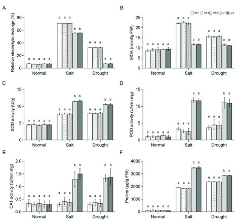 Physiological Analyses Of Arabidopsis Under Drought And Salt Stress