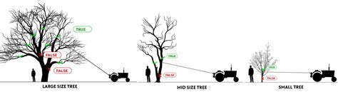 Rope Walnut Almond Apricot Cherry Olive Harvesting Machines Kadıoğlu Nutmec Walnut