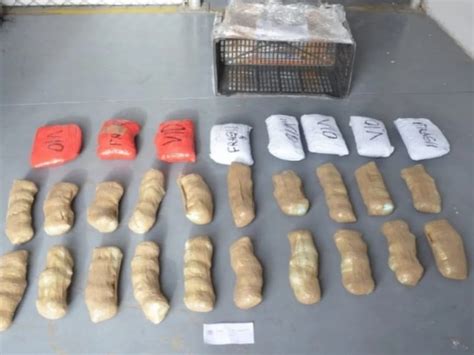 Procesaron A Supuestos Traficantes Que Transportaban Casi 200 Kilos De