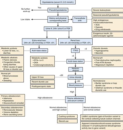 Acid Base And Electrolyte Disturbances Clinical Tree