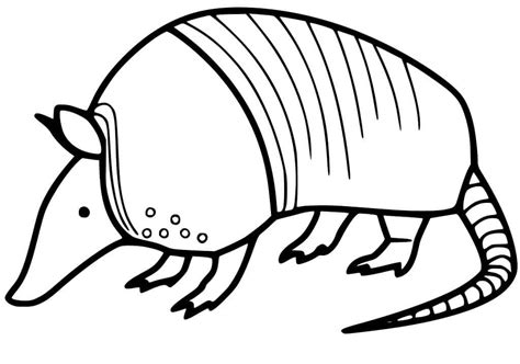 Gran Armadillo Para Colorear Imprimir E Dibujar ColoringLib
