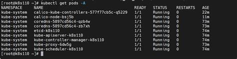 kubernetes k8s 集群部署 kubernetes集群部署 csdn博客