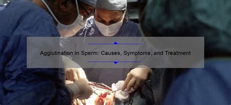 Agglutination In Sperm Causes Symptoms And Treatment Spermblog