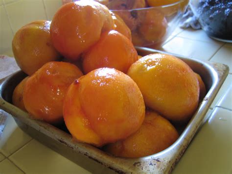 510 Fruits Summer Sweet And Sticky