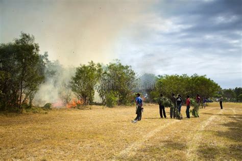Incendio Fuera De Control Que Rabia En Port Elizabeth Suráfrica