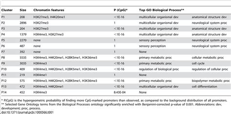 Summary Of Promoter Chromatin Signatures P114 Download Table