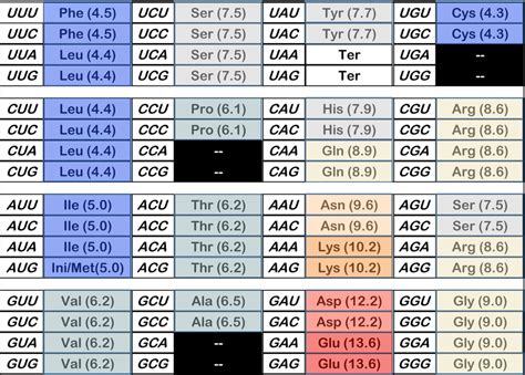 Evolved Coding Example From Optimal Time With 20 Encoded Functions And