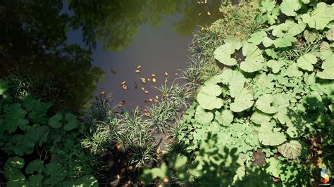 Artstation Beech Forest Ecosystem Ue5 Game Assets