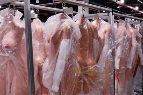 How To Use Sex Doll A Beginner S Guide