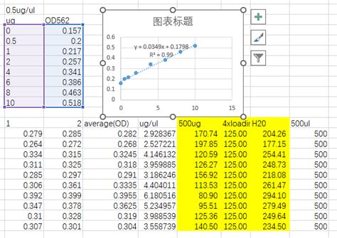蛋白质印迹（western Blot）实验操作步骤 哔哩哔哩