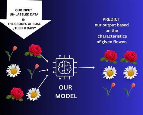 Supervised Vs Unsupervised Machine Learning CodeLikeChamp