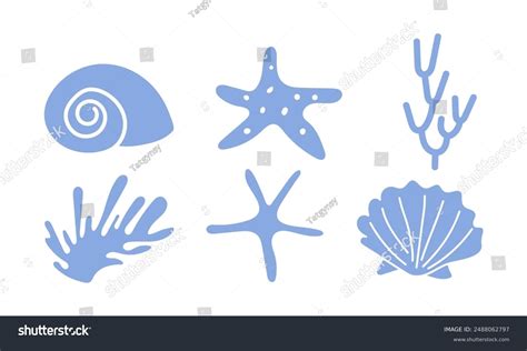 Hand Drawn Shells Underwater Plants Shells Stock Vector Royalty Free
